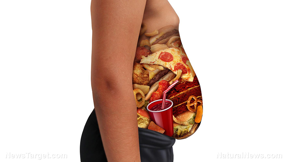 Think Before You Chew A High fat Diet Can Increase The Blood Pressure Think Before You Chew A High fat Diet Can Increase The Blood Pressure
